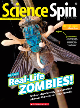 October 2019 Issue – Articles, Activities, and Videos | Scholastic ...