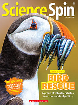 April 2021 Issue – Articles, Activities, and Videos | Scholastic ...