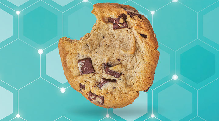 Home | Science Spin 3-6