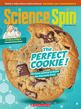 January 2024 Issue – Cookie Science | Articles, Activities, and Videos ...