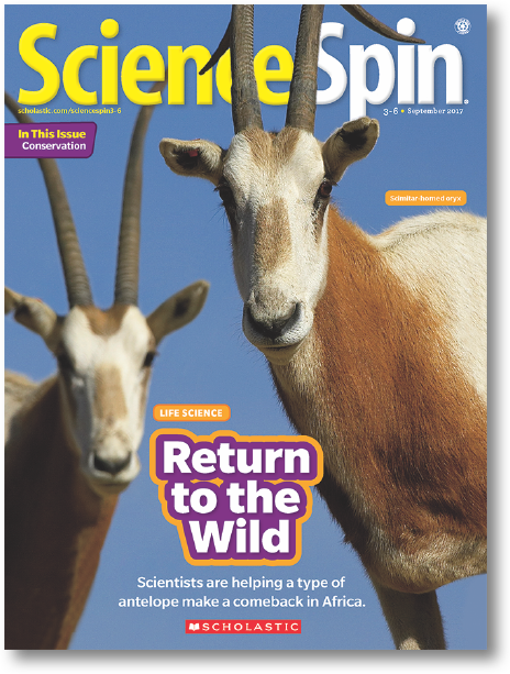 Science Spin 3-6
